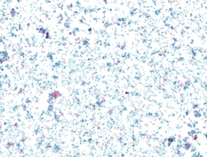 TCT Sample - 菘毅系統股份有限公司