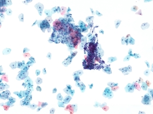 TCT Sample - 菘毅系統股份有限公司