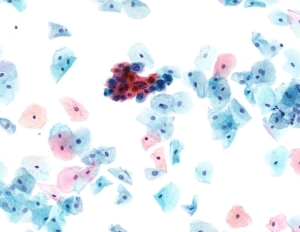TCT Sample - 菘毅系統股份有限公司